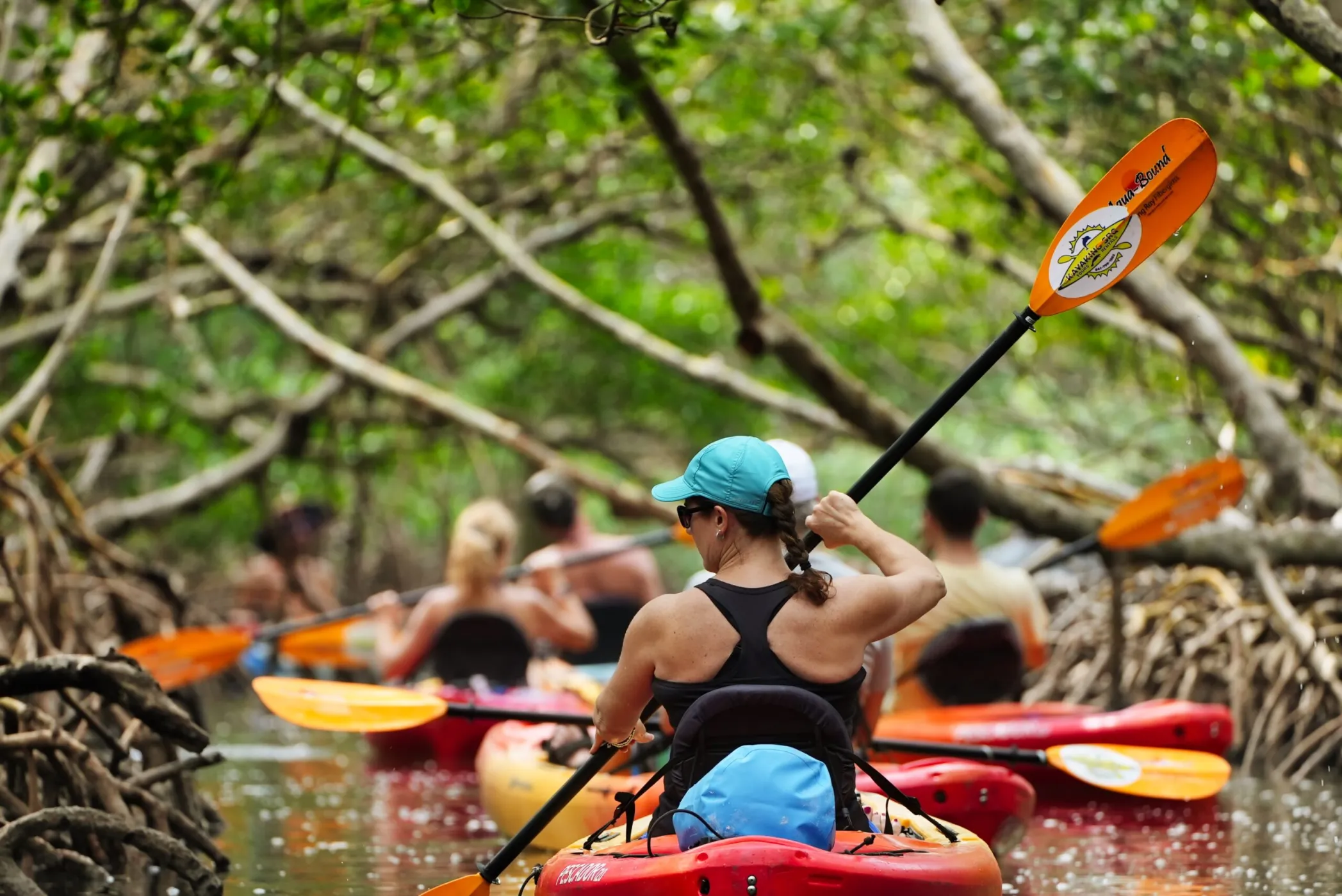 Kayak Mangrove Tunnel Tour on Lido Key, FL | Kayaking SRQ