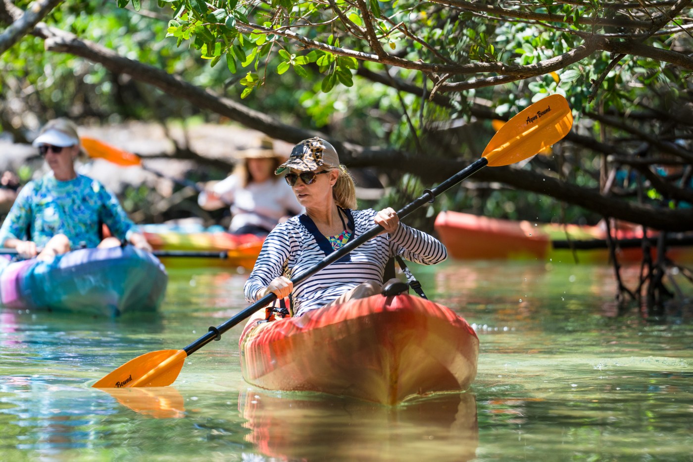 Private Guided Eco Tour on Siesta Key, FL | Kayaking SRQ