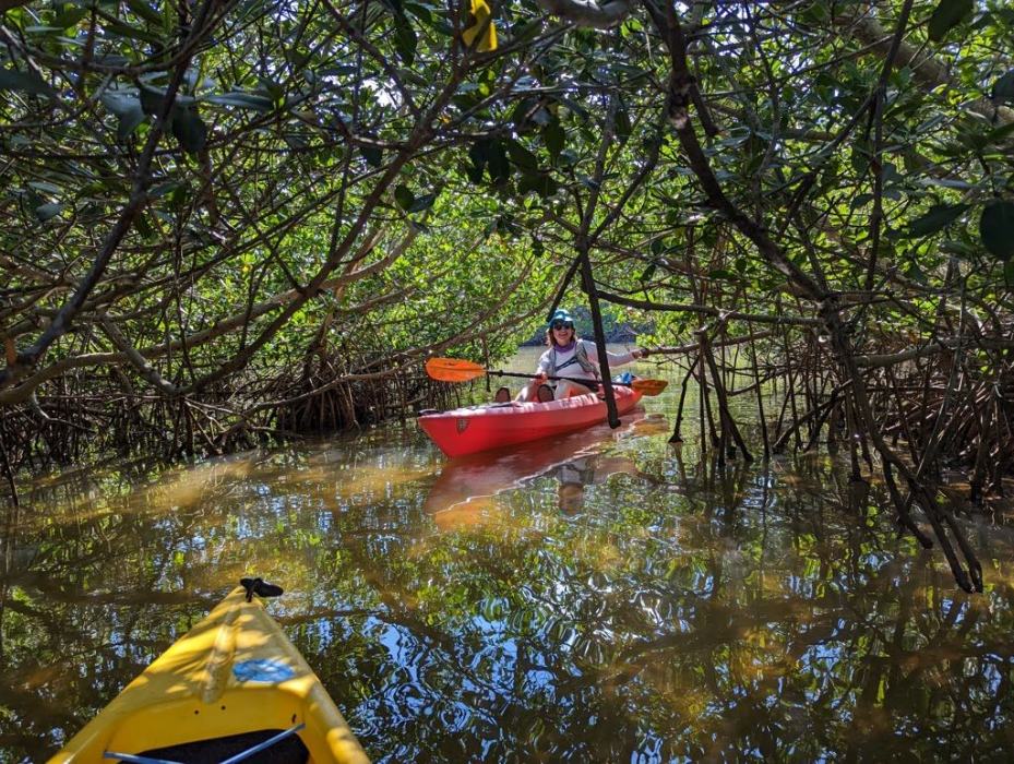 Siesta Key Kayak Rentals & Tours in Sarasota, FL | Kayaking SRQ